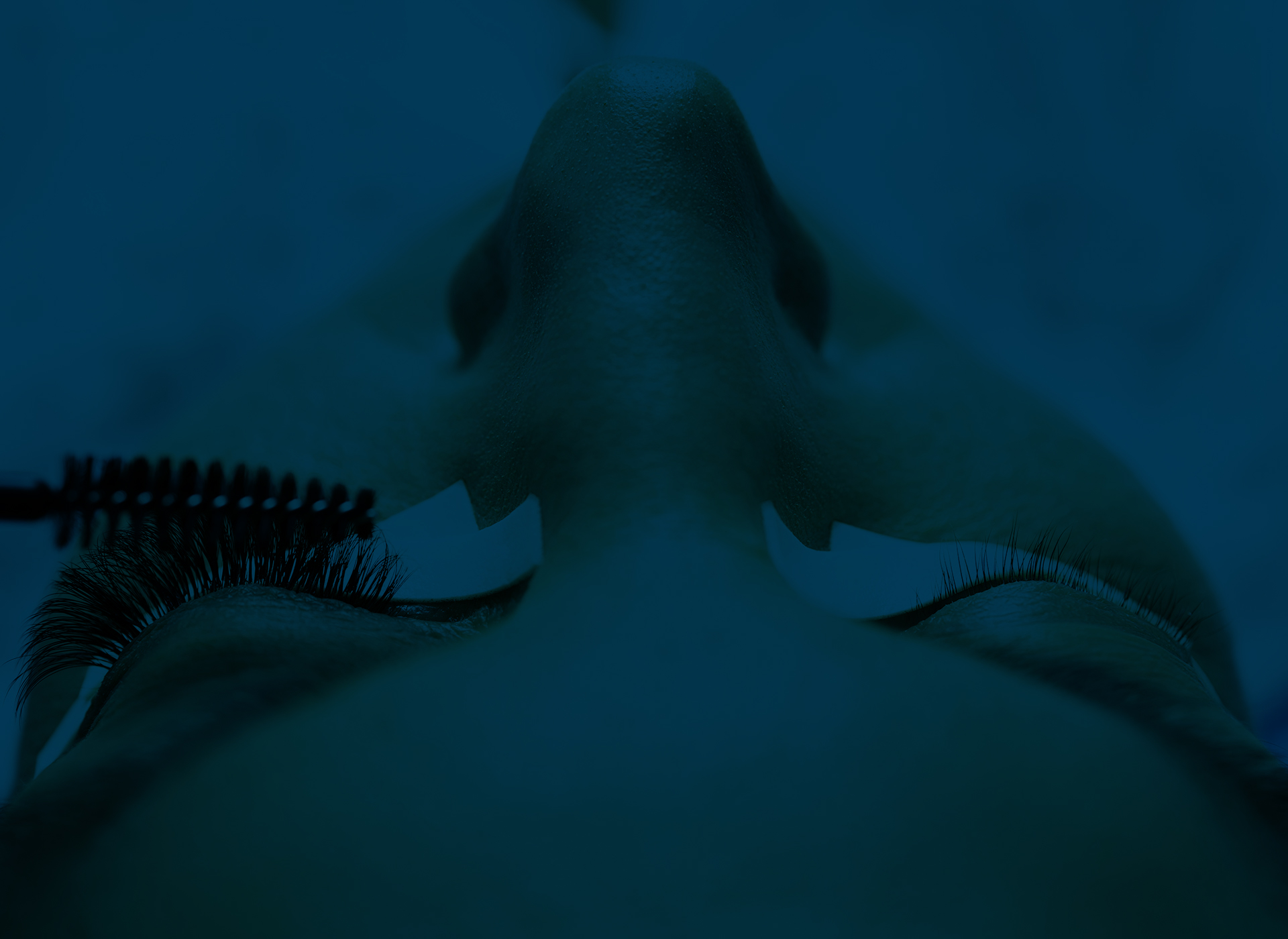 Lash Extensions in Anchorage | Lady Wax Studio & Spa